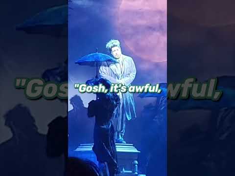 Ain't it tragic?🪲- Beetlejuice Musical Tour - Marc Ginsburg (u/s Beetlejuice)
