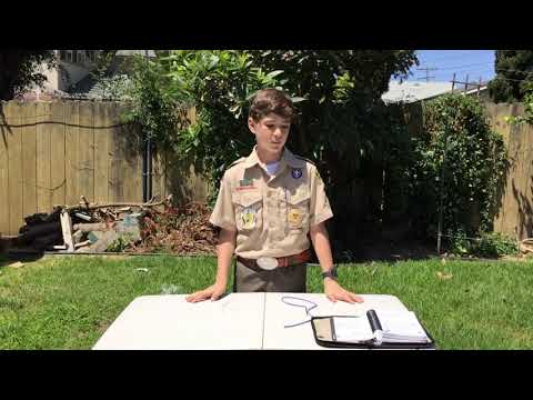 Tenderfoot requirement 3c