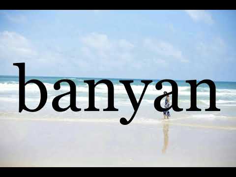 How To Pronounce banyan🌈🌈🌈🌈🌈🌈Pronunciation Of banyan