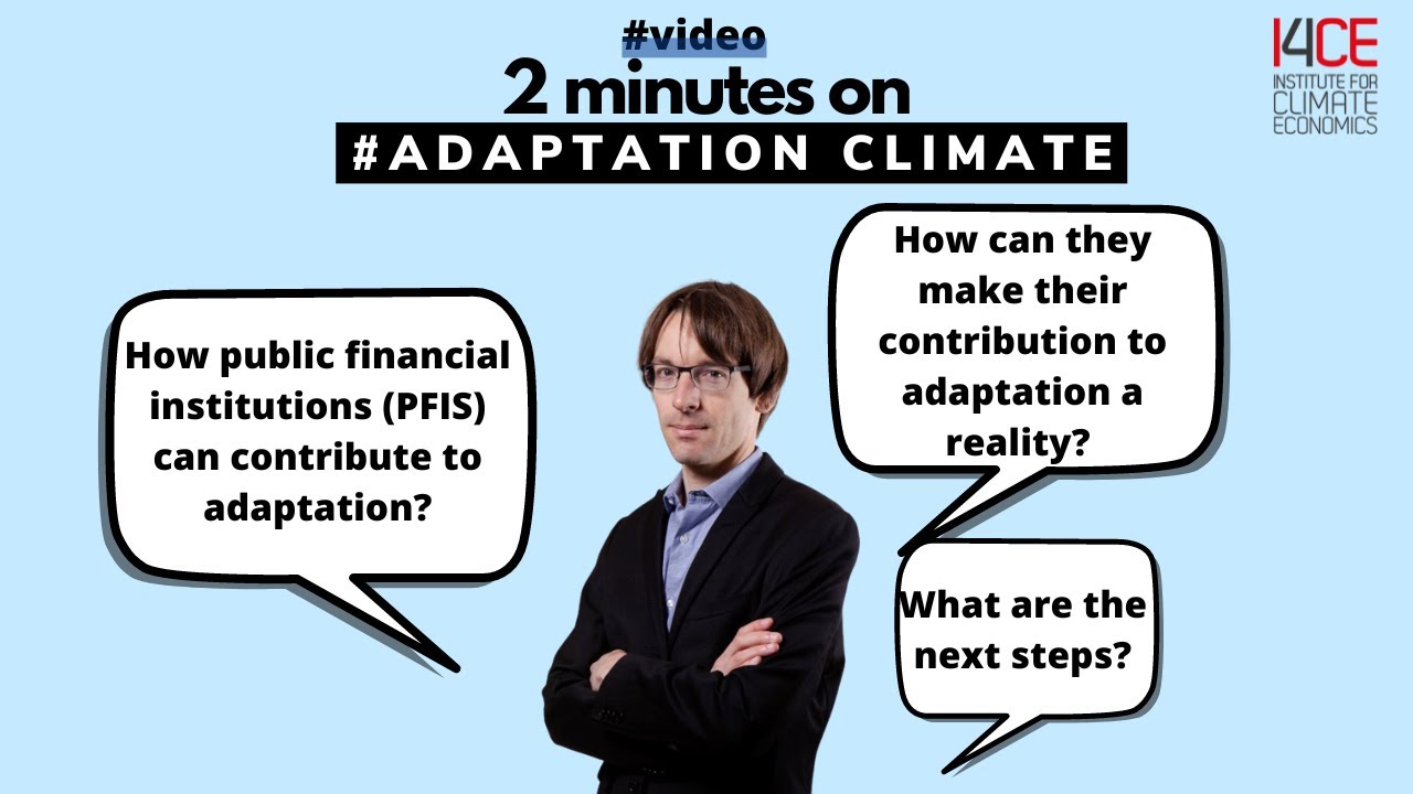 Adaptation : Public financial institutions (also) have a role to play ...