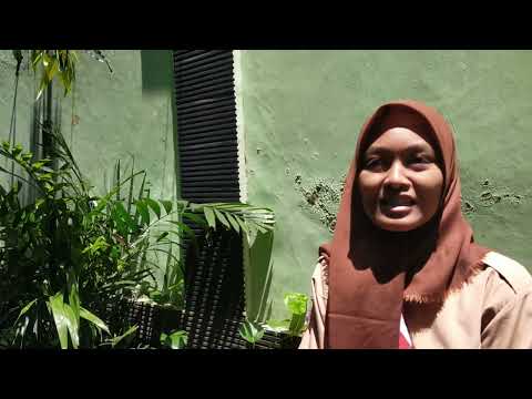 26 Alumni SMKN 50 Jakarta nembus SNBP – Jalur Undangan PTN – Blog Pendidik