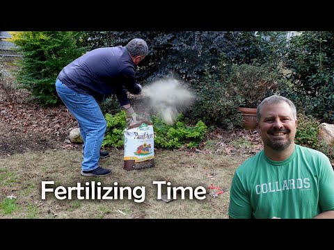 Fertilizing Time