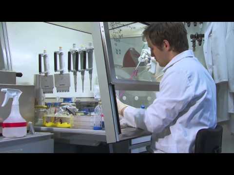 NRP 62 Project "A nano-factory in the body"