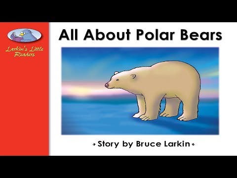 All About Polar Bears