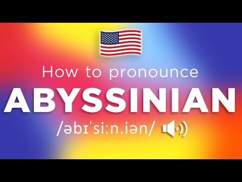How To Pronounce Abyssinian (100% NATIVE Speaker!!)
