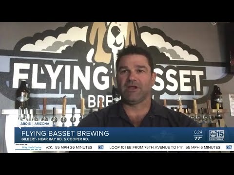 We're Open Arizona: Flying Basset Brewing in Gilbert