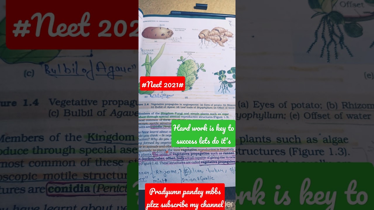 #Hard work is key to success#👍 let's rock it🔥🔥🔥