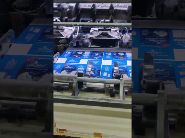 Packaging Box - Soap Packing Box Manufacturer from Indore