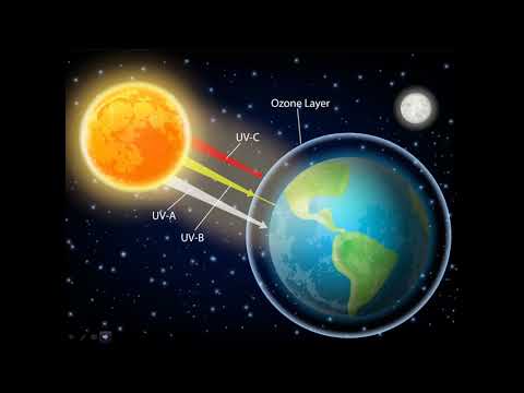 Ozone Layer (IN HINDI)