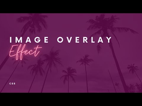 How to Add a Transparent Overlay to Background Images with CSS — A Beginners Guide