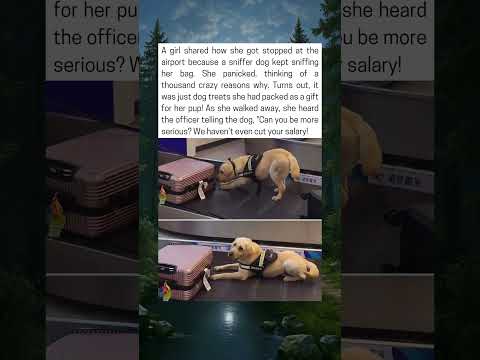 Sniffer Dog Exposes Dog Treats