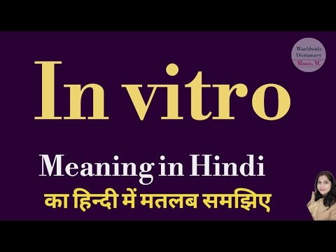 In vitro meaning l meaning of in vitro l in vitro ka matlab hindi mein kya hota hai l ivf vocabulary