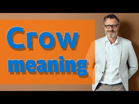 Crow | Definition of crow