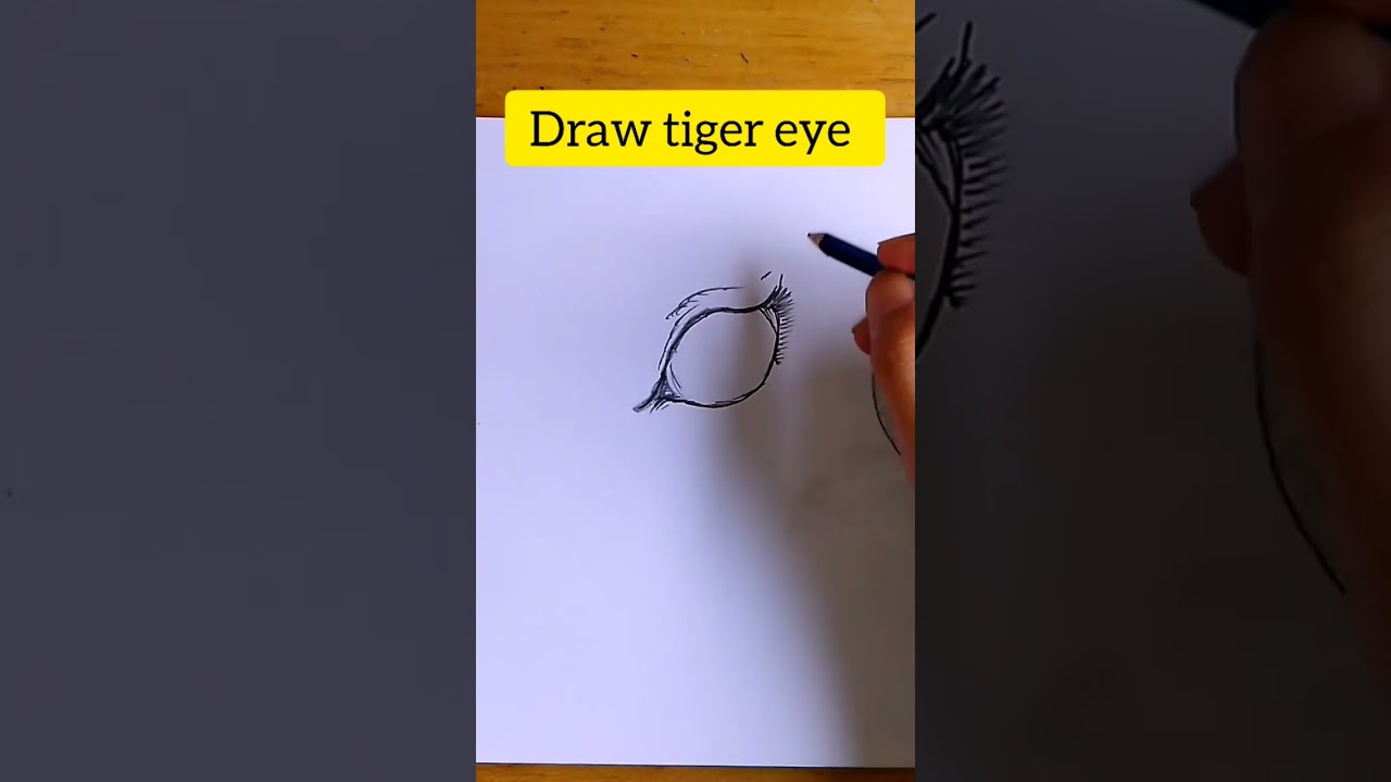 how to draw tiger eye🤍