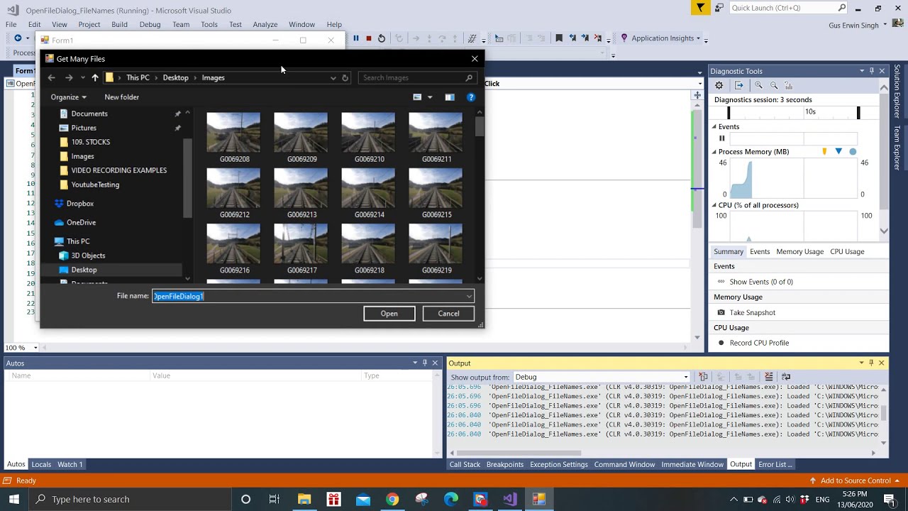 Visual Basic - OpenFileDialog for FileNames