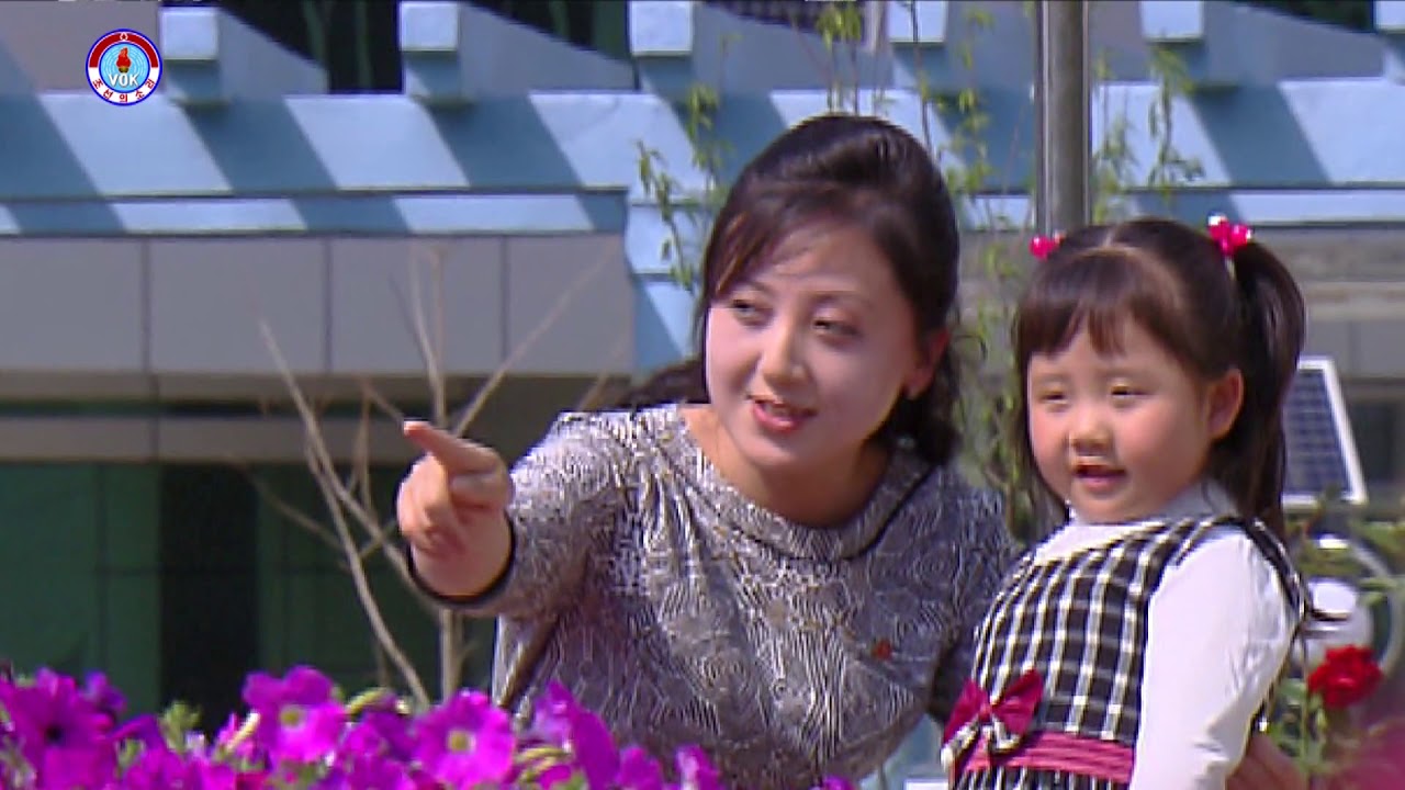 Pyongyang Today