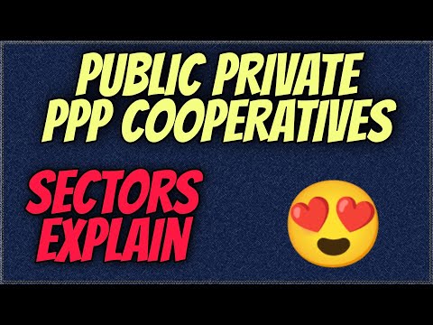 what is private sector, Public sector, Public Private Partnerships, Cooperative explained in Hindi