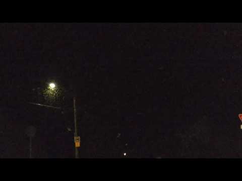 Shad flies aka mayflies North bay Ontario June 30th 2017
