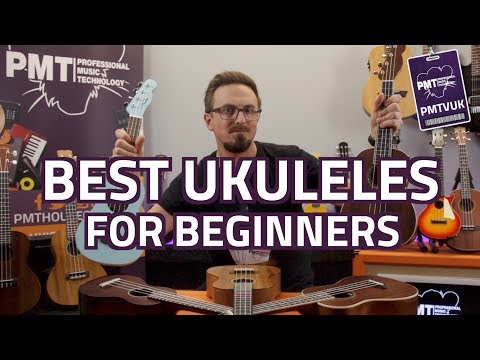 Top 10 Best Ukuleles For Beginners