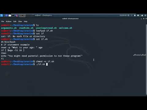 bash scripting if statement lab on kali linux