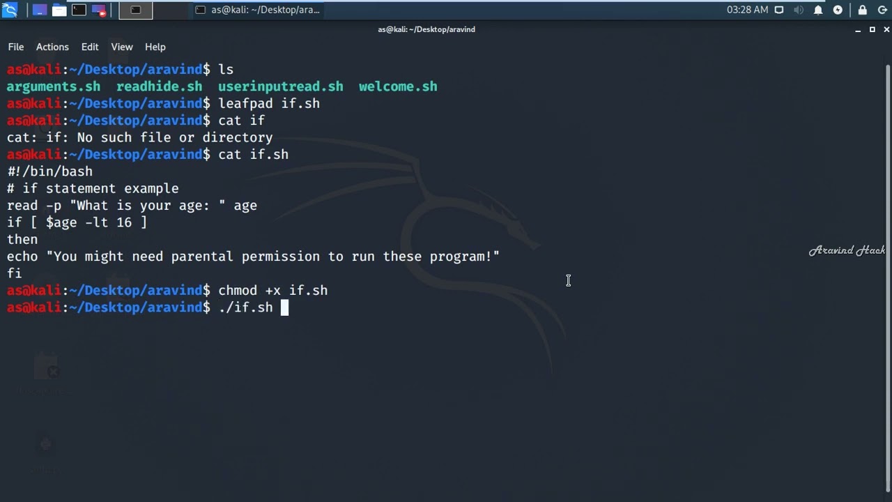 bash scripting if statement lab on kali linux