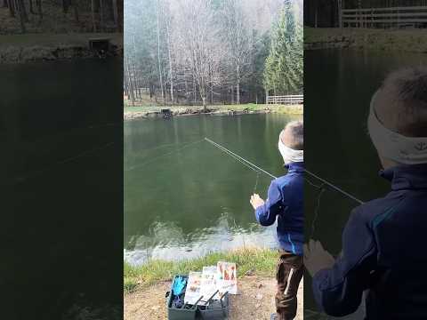 Catch and Cook - Lachsforelle gebacken - trout viennese style - FischSchnitzel