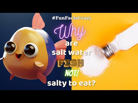 Why are salt water fish not salty to eat?