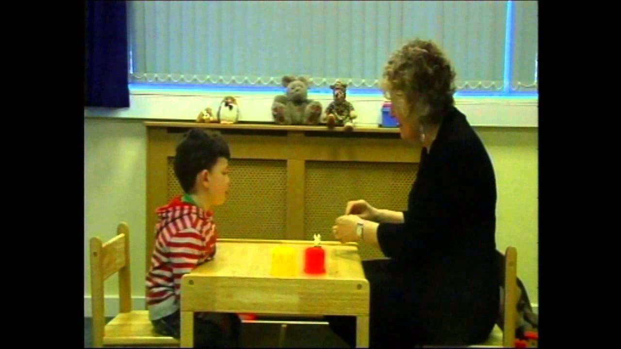 Clip 10 Sally Anne task