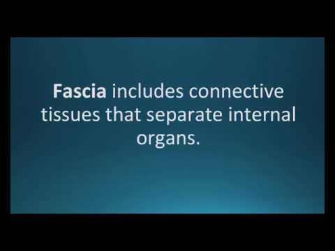 How to pronounce fascia (Pharmcabulary for Memorizing Pharmacology Flashcard)