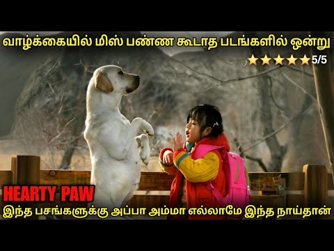 வாழ்கையில் miss பண்ணக்கூடாத படம் | film roll | tamil explain | movie review