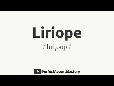 How to Pronounce LIRIOPE | IPL | Definition | Perfect Accent Mastery