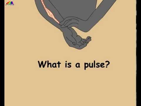 What is a Pulse?