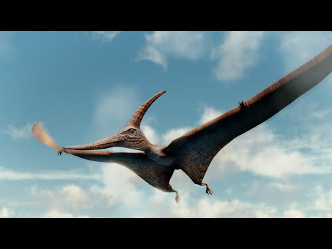 How pterosaurs evolved to rule the skies