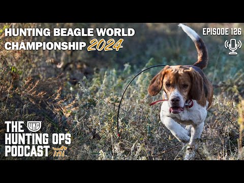 UKC Hunting Ops Podcast Ep. 126 - Beagles: 2024 Hunting Beagle World Championship