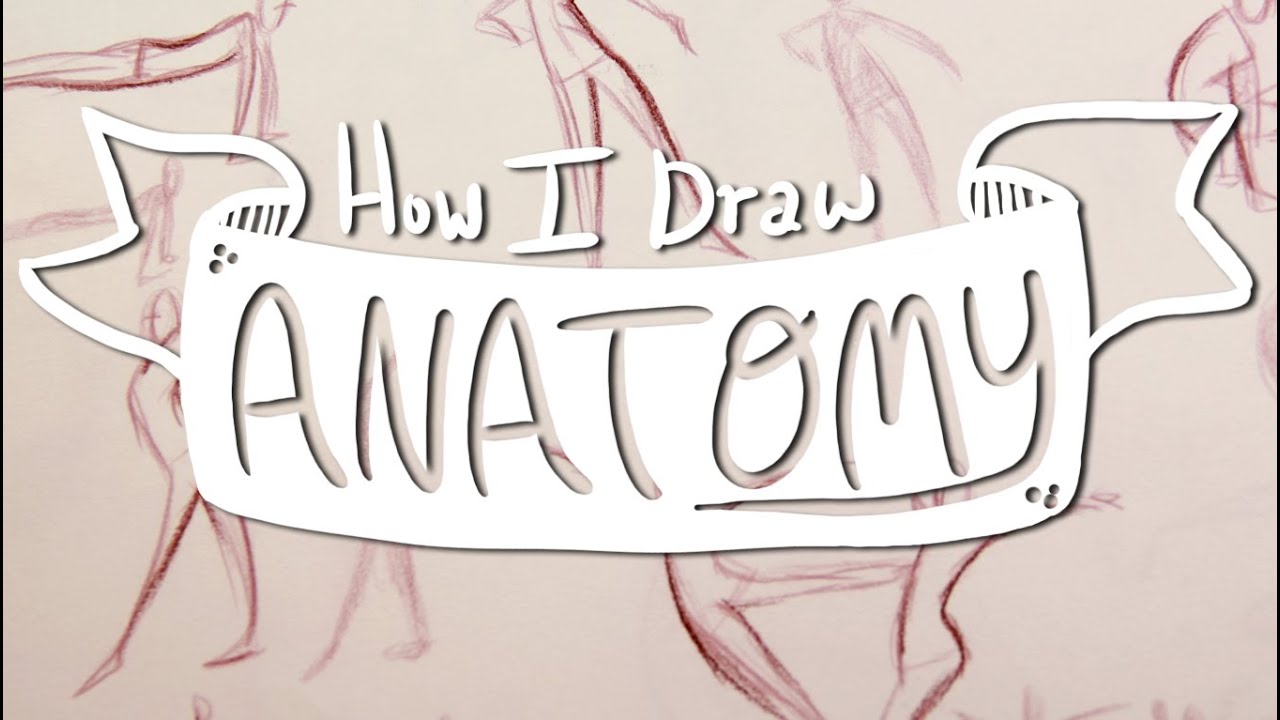 How I Draw ANATOMY #1: Basic Gesture Drawing