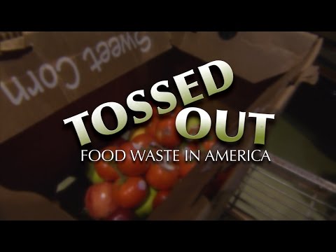 Tossed Out: Food Waste in America