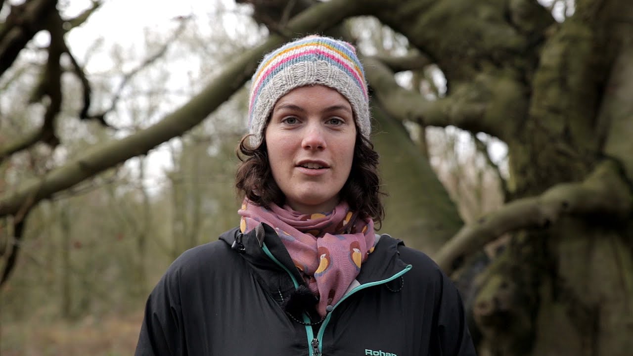 Sylva Foundation - environmental charity
