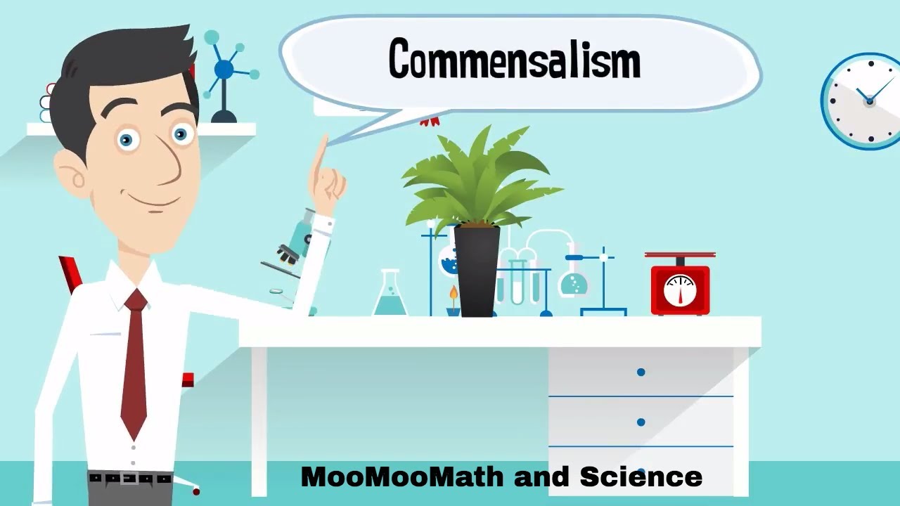 Examples of Commensalism