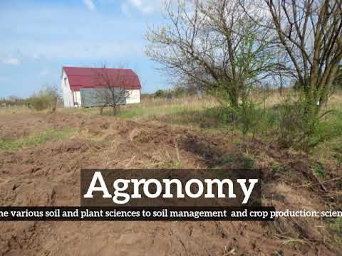 How to Say Agronomy in English? | What is Agronomy? | How Does Agronomy Look?
