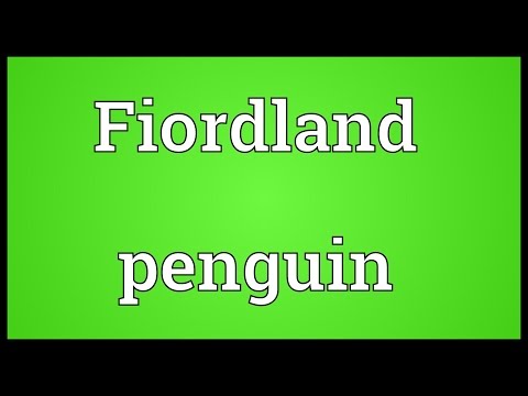 Fiordland penguin Meaning