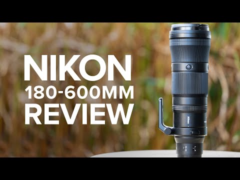 Nikkor Z 180-600mm: Amazingly sticky AF (wildlife photography)