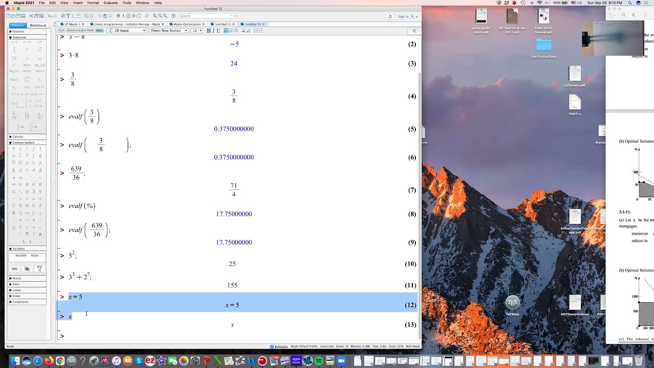 Lecture 4 - Maple for linear programming