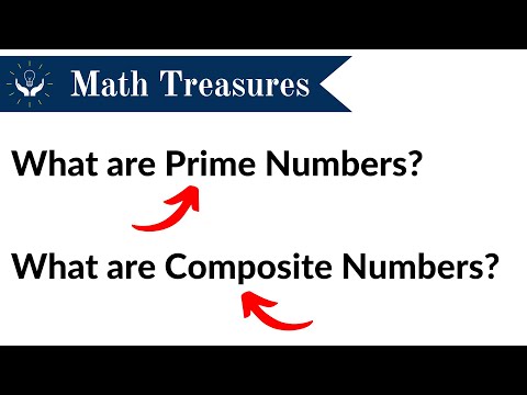 What are Prime and Composite Numbers?