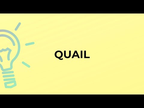 What is the meaning of the word QUAIL?