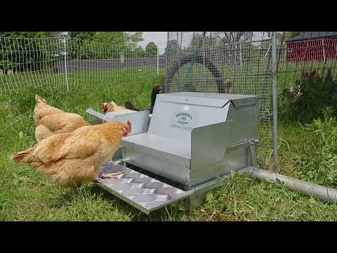 Grandpa's Feeders In Action