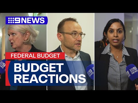 Federal Budget 2025: How Australia has reacted to the news | 9 News Australia