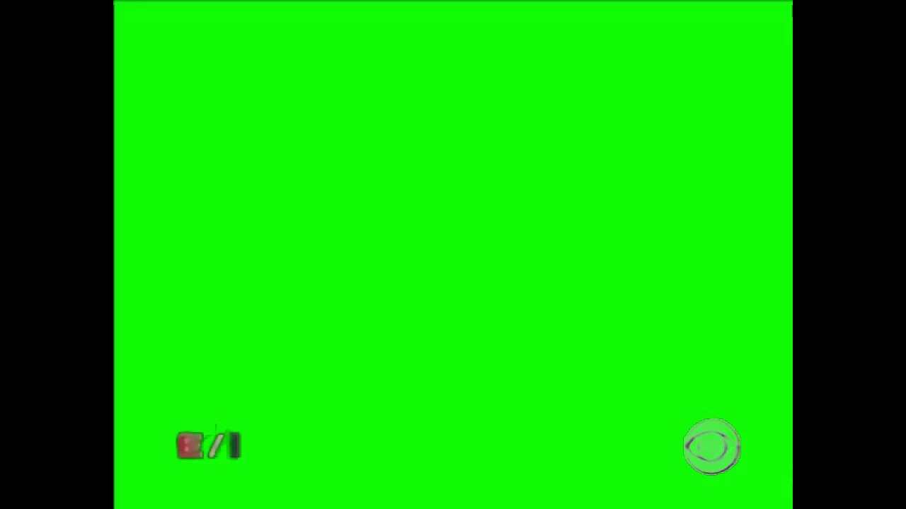 CBS 2006-2007 EI ScreenBug Template