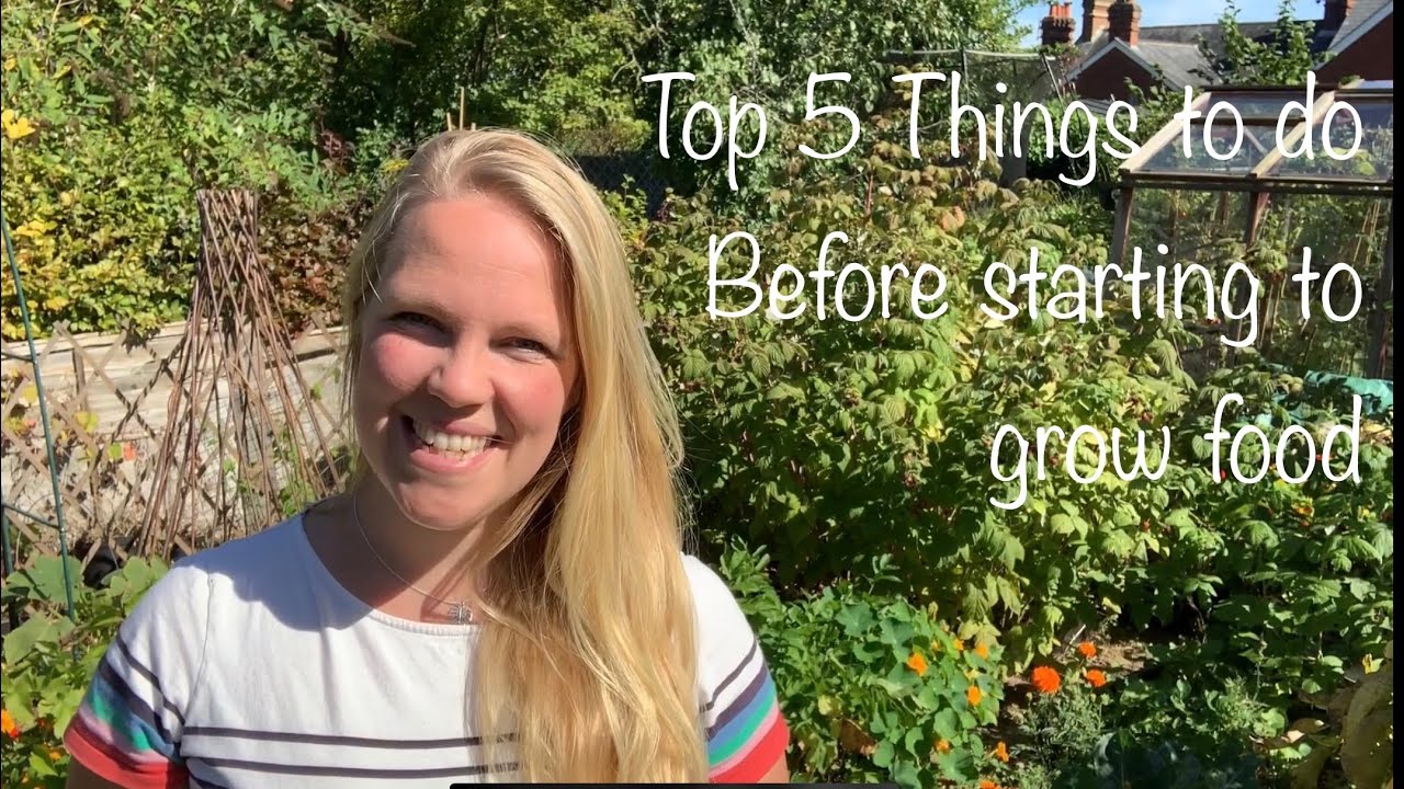 Top 5 things to do before starting a vegetable patch