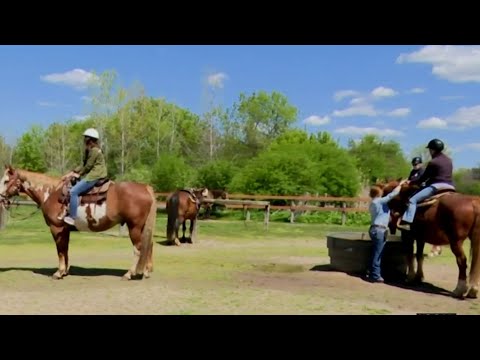 Live in the D: Try It Out Tuesday - Maybury Riding Stables