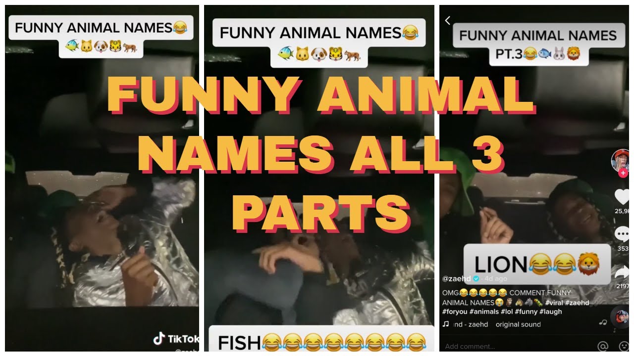 Tik Tok FUNNY ANIMAL NAMES ALL 3 PARTS fish 🐟 mousee  🐭😁🤣😅 | TikTok Memes 2020